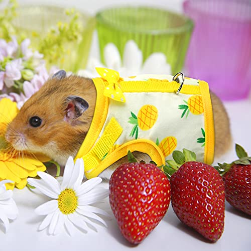 3 Pieces Guinea Pig Harness with Leash Small Pet Harness Fruit Plaid Pattern Adjustable Padded Walking Vest for Pet Hamster Ferret and Squirrel Small Animals (Pineapple, Red Plaid, Strawberry, Small)