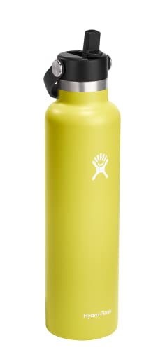 Hydro Flask Standard Flex Straw Cap Cactus 24 Oz