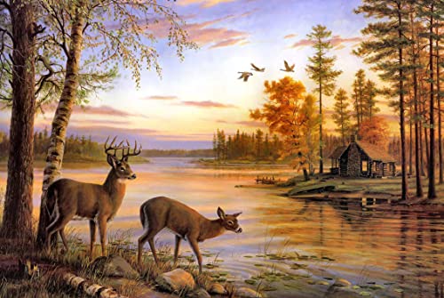 Eiazuiks Diamond Painting Kits for Adults, 5D Full Drill Diamond Art Deer Round Diamond Dots Gem Arts Suitable for Home Wall Decoration 12x16in