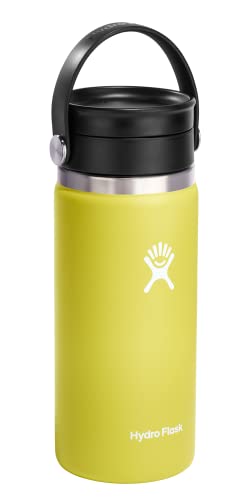 Hydro Flask 16 oz Wide Mouth with Flex Sip Lid Stainless Steel Reusable Water Bottle Cactus - Vacuum Insulated, Dishwasher Safe, BPA-Free, Non-Toxic