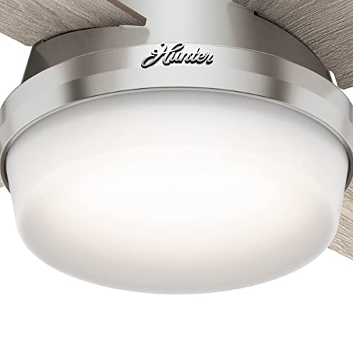 Hunter Fan Company 50282 Hunter Dempsey Indoor Low Profile Ceiling Fan with LED Light and Remote Control, 44", Brushed Nickel Finish
