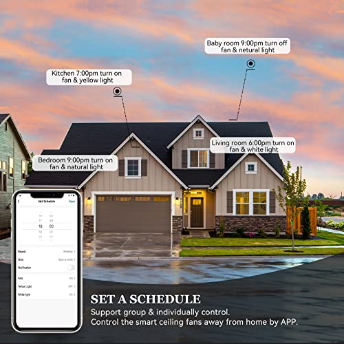SMAAIR Smart Ceiling Fan with light, 3 Blades Black Outdoor Ceiling Fan with DC Motor,10-Speed,1-8 Hours Timer Schedule, Compatible with Remote Control/Alexa/Google Home/Siri (48", Black/Gold)