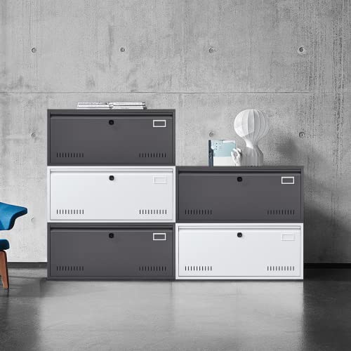 TOMOSLTER Biometric Fingerprint Lateral File Cabinet, Large Drawer Metal Filing Cabinet with Hanging Rod for Letter, A4, documents and so on, for Home Office Using, Assembly Required