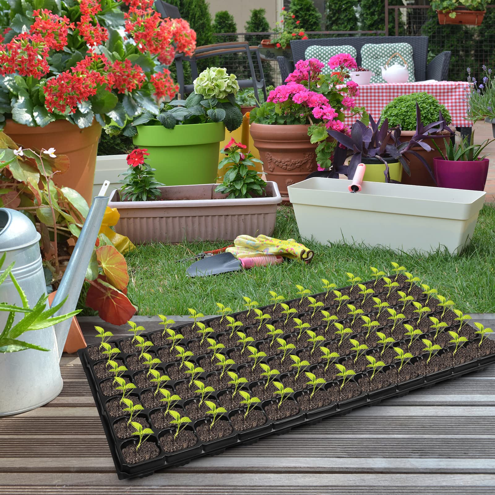 12 Pack Thick Durable 72 Cell Seed Starter Tray, 1.5inch Deep Gardening Germination Plant Growing Plastic Trays for Seeds Growing Plant Seedlings Propagation