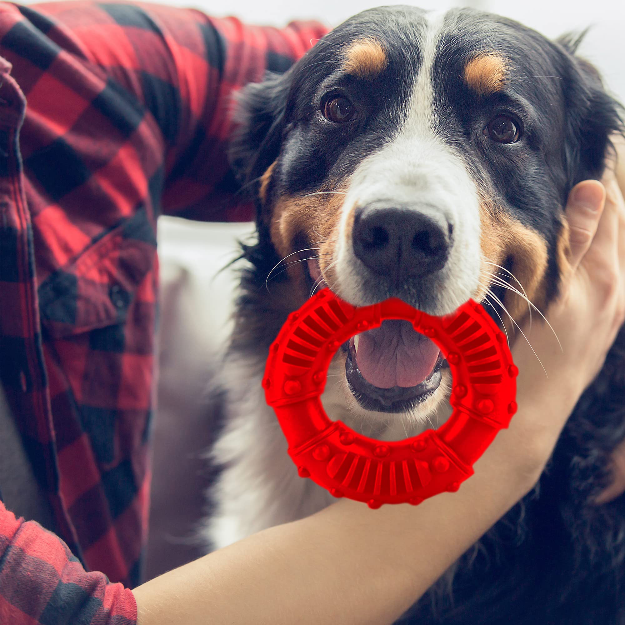 SIMENA Heavy Duty Dog Chew Toy, Natural Teething Toy for Medium Breeds, Tough Durable Chewy Toy, Teeth Cleaning Tough Dog Toys (Ring, Red)