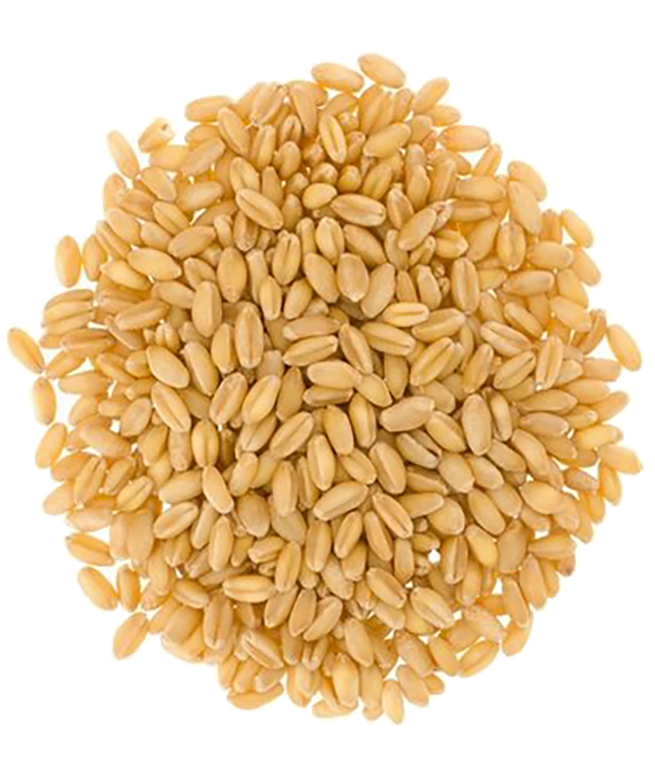 Certified Glyphosate Residue Free Soft White Wheat Berries | 100 LBS | Desiccant Free | Sproutable | Non-GMO Project Verified | Kosher