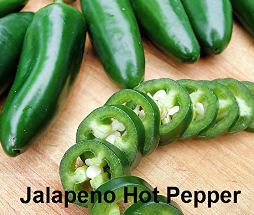 PLEASE READ! THIS IS A MIX!!! 30+ Hot Pepper Mix Seeds, 16 Varieties Heirloom NON-GMO Habanero, Tabasco, Jalapeno, Yellow and Red Scotch Bonnet, Ships from USA! US Grown.