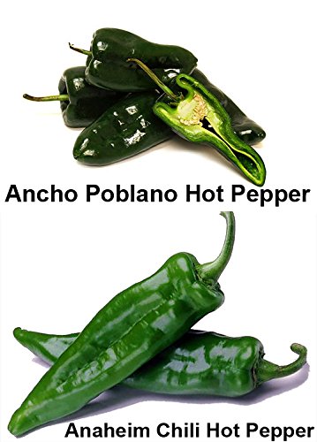 PLEASE READ! THIS IS A MIX!!! 30+ Hot Pepper Mix Seeds, 16 Varieties Heirloom NON-GMO Habanero, Tabasco, Jalapeno, Yellow and Red Scotch Bonnet, Ships from USA! US Grown.