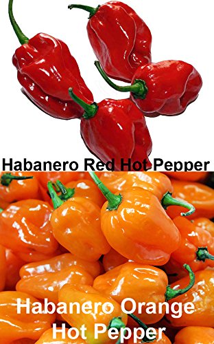 PLEASE READ! THIS IS A MIX!!! 30+ Hot Pepper Mix Seeds, 16 Varieties Heirloom NON-GMO Habanero, Tabasco, Jalapeno, Yellow and Red Scotch Bonnet, Ships from USA! US Grown.