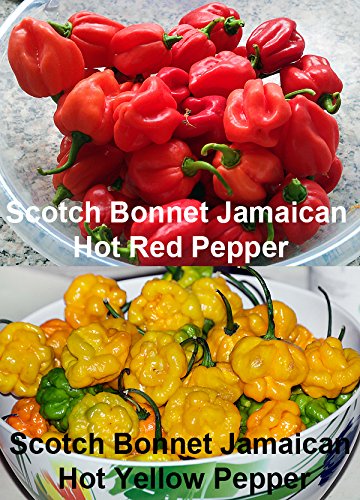 PLEASE READ! THIS IS A MIX!!! 30+ Hot Pepper Mix Seeds, 16 Varieties Heirloom NON-GMO Habanero, Tabasco, Jalapeno, Yellow and Red Scotch Bonnet, Ships from USA! US Grown.