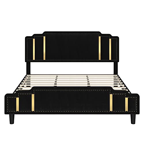 HIFIT Queen Size Modern Velvet Upholstered Bed Frame with Adjustable Headboard, Studded with Golden Iron Slice & Rivets, Platform Bed Frame with No Noise, No Box Spring Needed, Easy Assembly, Black