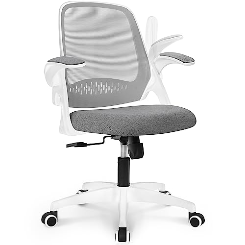 NEO CHAIR Ergonomic Office chair Gaming Desk Computer Chair with Adjustable Height Comfy Lumbar Back Support Flip-Up Padded Armrests and Wheels for Home Office Vanity (Grey)