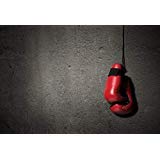 Baocicco 6.5x5ft Dark Backdrop Vinyl Gym Photography Background Boxing Sports Match Red Boxing Gym Equipment Children Kids Adults Portrait Photo Video Studio Props