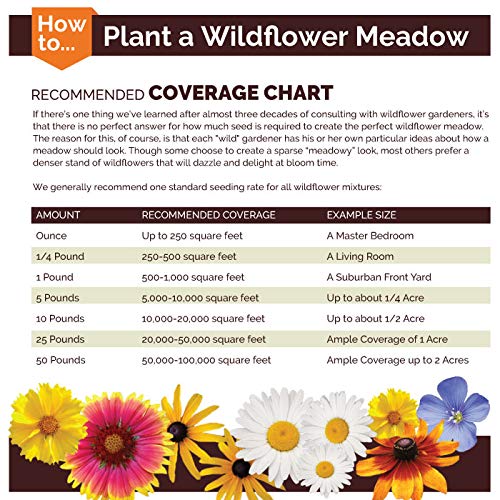 All Perennial Wildflower Seed Mix - 1/4 Pound - Mixed Wildflower Seeds, Attracts Bees, Attracts Butterflies, Attracts Hummingbirds, Attracts Pollinators, Easy to Grow & Maintain, Container Garden