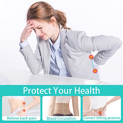 Lumbar Support Pillow for Office Chair,Support Point Adjustable Chair Back Support Pillow for Car, Office Chair Back Cushion Chair Cushion for Back Pain with 2 Adjustable Straps