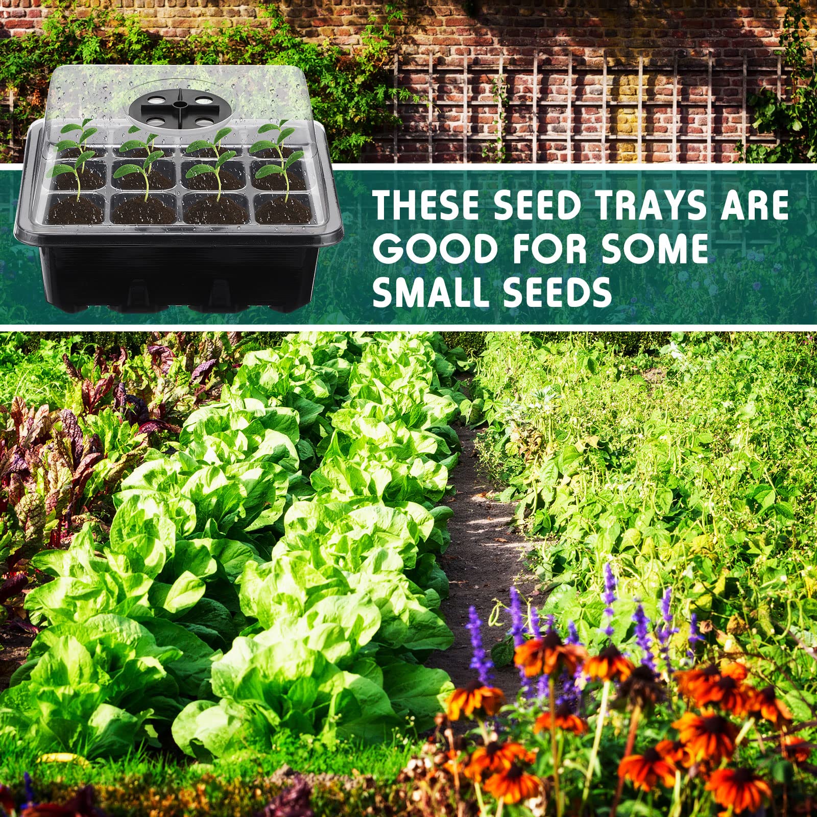 Nuogo 30 Packs Seed Starter Tray 360 Cells Seed Starter Kit with Humidity Domes and Base with 6 Plant Growers Base Indoor Greenhouse Mini Propagator Station 7.3'' x 5.7'' x 4.1''