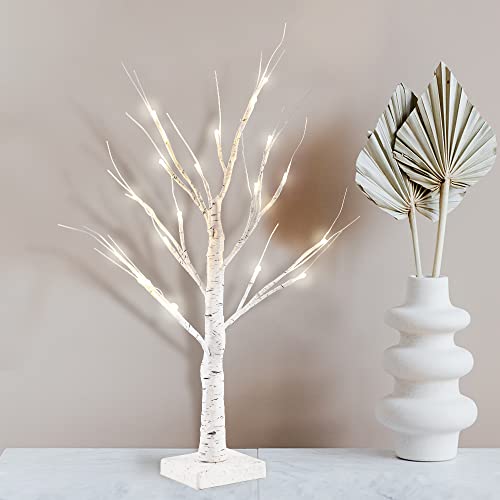 YEAHOME 2 Pack 2FT/24β Birch Tree Light with 18LT Warm White LEDs Battery Powered Timer for Christmas Decorations Indoor, Artificial Tabletop Money Tree for Wedding Party Desk Table Mantel Home Decor