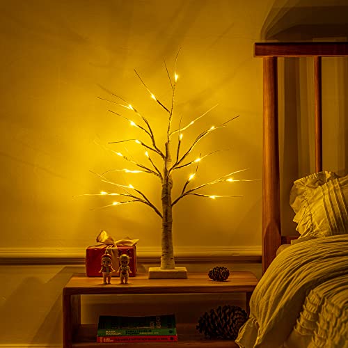 YEAHOME 2 Pack 2FT/24β Birch Tree Light with 18LT Warm White LEDs Battery Powered Timer for Christmas Decorations Indoor, Artificial Tabletop Money Tree for Wedding Party Desk Table Mantel Home Decor