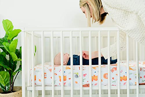 Bundle of ADDISON BELLE Products - 100% Cotton Fitted Crib Sheet + Everything Blanket - Woodland Animals - Soft, Durable & Breathable