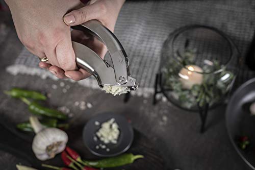 Kuhn Rikon Epicurean Garlic Press, Stainless Steel, 6.5 x 1 x 1.5 inches, Silver