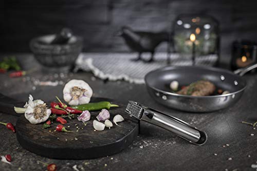 Kuhn Rikon Epicurean Garlic Press, Stainless Steel, 6.5 x 1 x 1.5 inches, Silver