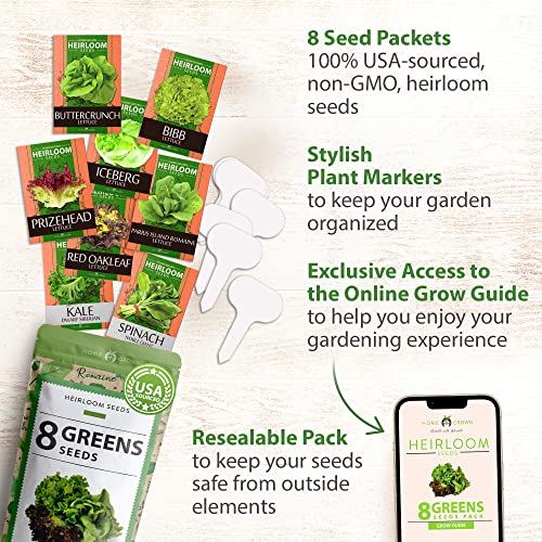 Lettuce & Salad Greens Seed Vault - 4,000+ Non-GMO Vegetable Seeds for Outdoors or Indoors - Romaine, Iceberg Lettuce Seeds for Planting, Kale Spinach & More: Hydroponic Home Garden Seeds (8 Variety)