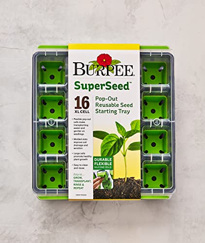 Burpee SuperSeed Seed Starting Tray | 16 XL Cell | Reusable & Dishwasher Safe | for Starting Vegetable Seeds, Flower Seeds & Herb Seeds | Indoor Grow Kit for Deep-Rooted Seedlings