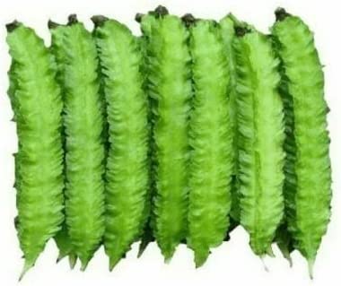 100 Seeds Winged Bean - Dau Rong - Dragon Bean - Four Angled Bean - Psophocarpus Tetragonolobus - Manila Dragon Bean | Non GMO | Organic | Heirloom High Germination DIY Tree Plant Seedling Garden