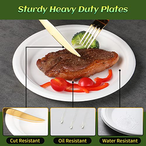 Coolego Paper Plates 125-Pack, 100% Compostable Paper Plates Bulk, Eco-friendly Sugarcane Fiber Paper Plates Heavy Duty with Biodegradable Packaging for Party, Daily