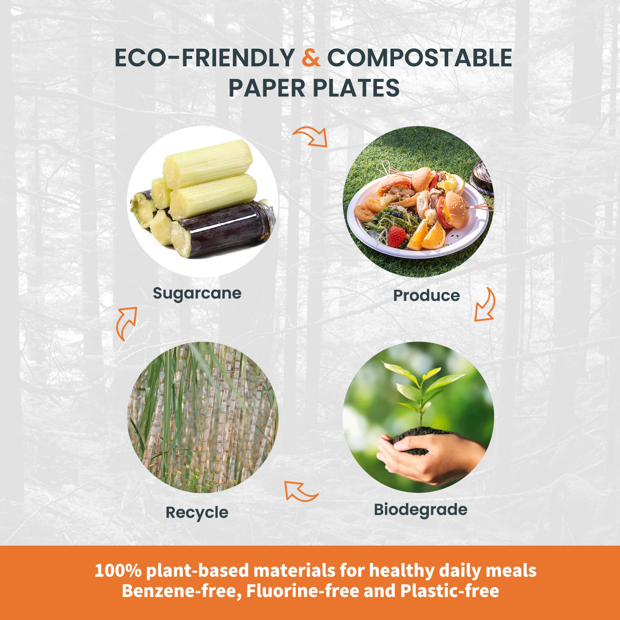 hooray mida 100% Compostable Plates, Disposable Paper Plates 125-Count - Heavy Duty, Biodegradable Plates Made of Bagasse - Eco Friendly and Sustainable (Natural, 7 inch)