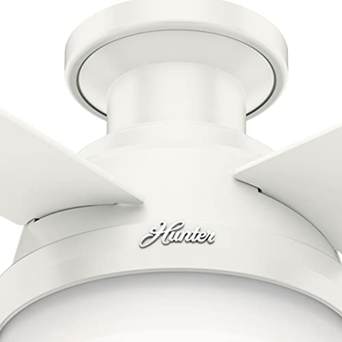 Hunter Fan Dempsey Low Profile Indoor Ceiling Fan with LED Light and Remote Control, Metal, Fresh White, 44 Inch