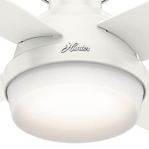 Hunter Fan Dempsey Low Profile Indoor Ceiling Fan with LED Light and Remote Control, Metal, Fresh White, 44 Inch