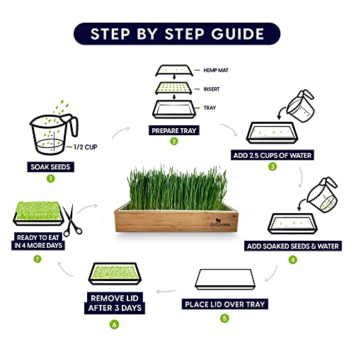 Self Watering Cat Grass Kit. Hands Down The Easiest Way to Grow Cat Grass. Everything Included to Grow a Large Crop of Delicious Cat Grass.