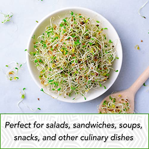 USDA Organic Alfalfa Sprouting Seeds | 1 Pound | Perfect for Sprouting & Microgreens, Premium Alfalfa Sprout Seeds, Non-GMO
