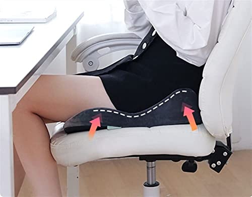 BUZZNN Seat Cushion, Memory Foam Office Chair Cushion, Coccyx Cushion for Sciatica - Ergonomic, Perfect for Home, Office and Car
