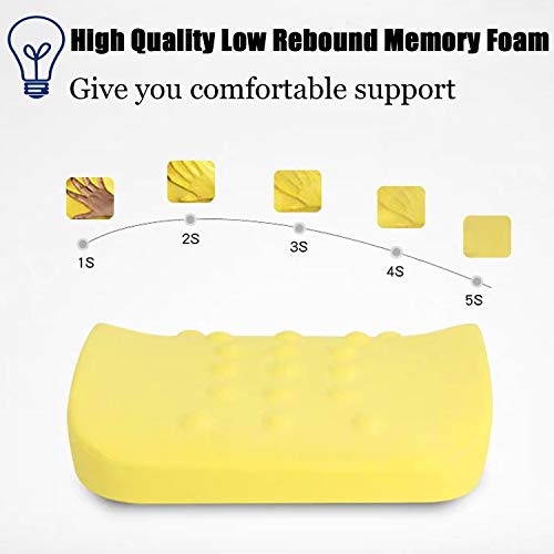 Memory Foam Seat Cushion & Back Cushions,Lumbar Support Pillow for Office Chair and Car ,Ergonomic Design for Coccyx Orthopedic,Relieves Back, Hip, Tailbone (Navy Blue)