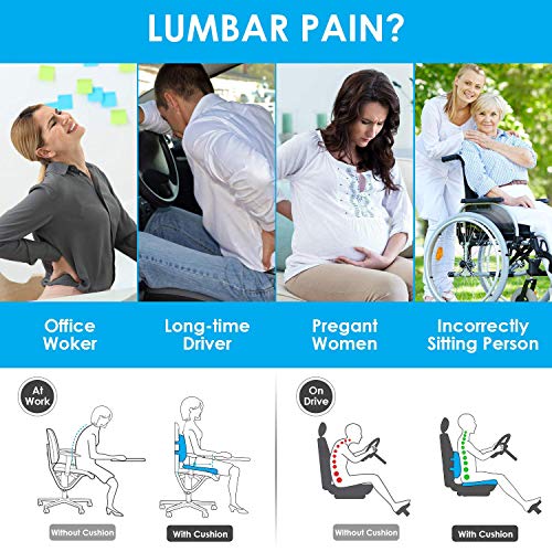 Memory Foam Seat Cushion & Back Cushions,Lumbar Support Pillow for Office Chair and Car ,Ergonomic Design for Coccyx Orthopedic,Relieves Back, Hip, Tailbone (Navy Blue)