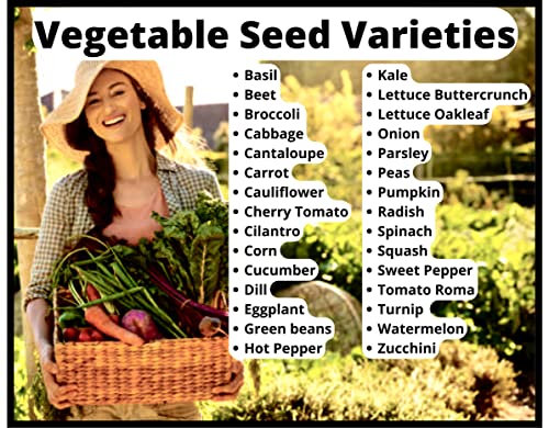 30 Vegetable & Fruit Seeds for Planting Your Outdoor & Indoor Home Seed Garden, Survival Gear Kit Includes 5900 Seeds, A Growing Guide & Mylar Package Gardening Heirloom Non-GMO Veggie Seed B&KM Farms