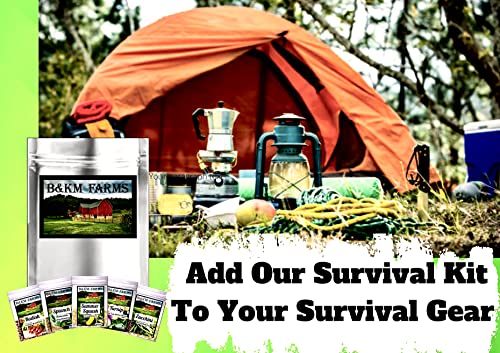 30 Vegetable & Fruit Seeds for Planting Your Outdoor & Indoor Home Seed Garden, Survival Gear Kit Includes 5900 Seeds, A Growing Guide & Mylar Package Gardening Heirloom Non-GMO Veggie Seed B&KM Farms