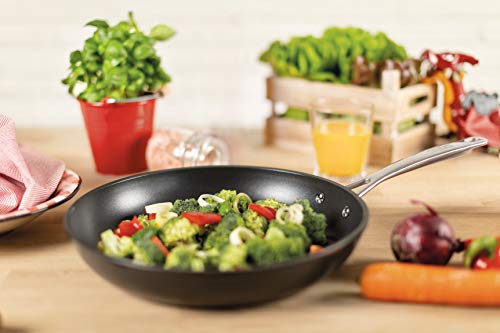 KUHN RIKON Easy Pro Non-Stick Frying Pan, 9.5 inch/24 cm