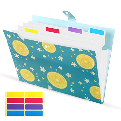 Zuozee Fruit Style Expanding File Folder, 5 Pocket Accordion File Organizer with 8 Labels, Cute Letter Folder Organizer for Documents, Portable & Expandable Folders for School Office, Lemon