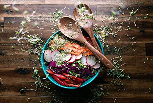 Broccoli Seeds for Sprouting & Microgreens | Waltham 29 Variety | Non GMO & Heirloom Seeds | Bulk 1 LB (16 oz) Resealable Bag | Rainbow Heirloom Seed Co.