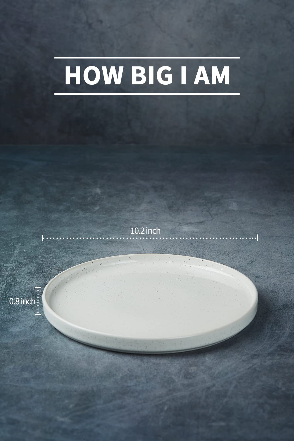 famiware Nebula 6 Pieces Dinner Plates, 10.2 inch Plates Set, Scratch Resistant, Stoneware Dinnerware, Kitchen Modern Rustic Dishes, White