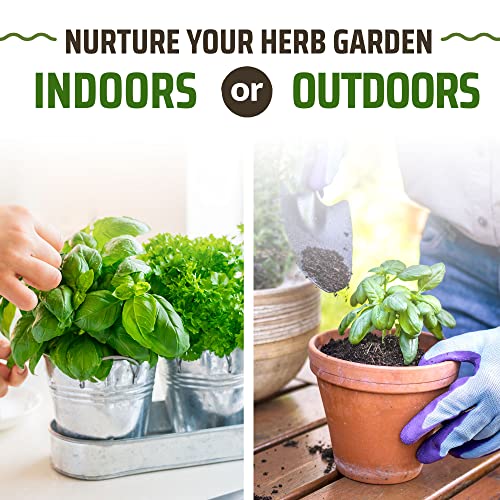 17 Herb Culinary Seed Vault - 5200+ Herbs Seeds for Planting Indoor or Outdoor Garden - Heirloom, Non GMO | Hydroponic Herb Garden Seeds with High Germination | Cilantro, Mint, Chives, Basil, Parsley