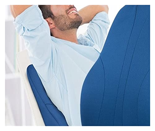 Car Seat Cushion Memory Foam Back Cushions Office Chair Cushions Compatible with Pregnant Women Cushion Compatible with Back (Color : Svart, Specification : Lumbar Spine)