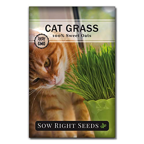 Sow Right Seeds - Catnip and Cat Grass Seed Collection for Planting Indoors or Outdoors, Includes The Popular herb Seed Catnip and Cat Grass (100% Sweet Oat Grass), Non-GMO Heirloom Seed