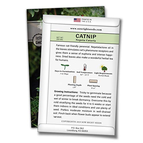 Sow Right Seeds - Catnip and Cat Grass Seed Collection for Planting Indoors or Outdoors, Includes The Popular herb Seed Catnip and Cat Grass (100% Sweet Oat Grass), Non-GMO Heirloom Seed