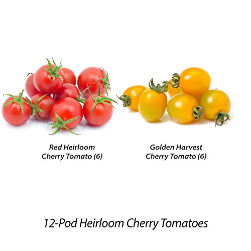 AeroGarden Red & Golden Cherry Tomato Seed Pod Kit (12-pod)