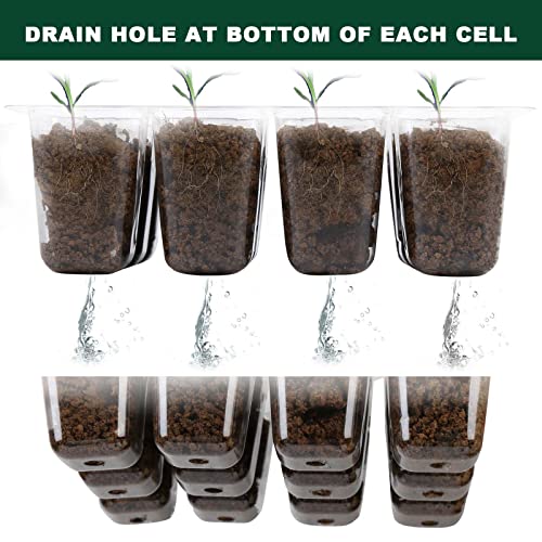 JERIA 20 Packs (240 Cell Seedling Starter Trays) Seed Starter Tray Seed Starter Kit with Humidity Adjustable Dome,Plant Germination Trays for Seeds Growing Starting Plant Starter Kit (Green and Black)