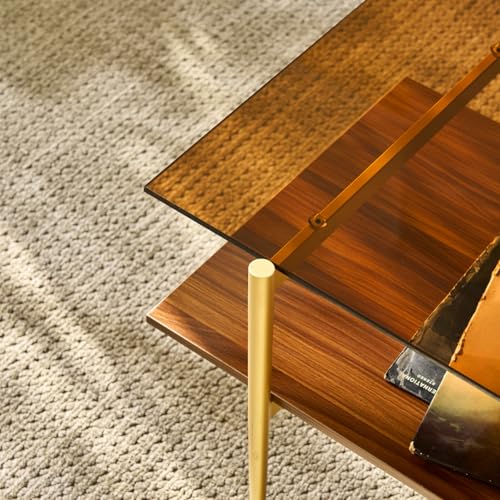 Saint Mossi Tadio Double Layer Glass Coffee Table for Living Room, Brown Glass & Coffee Brown MDF Bottom Shelf